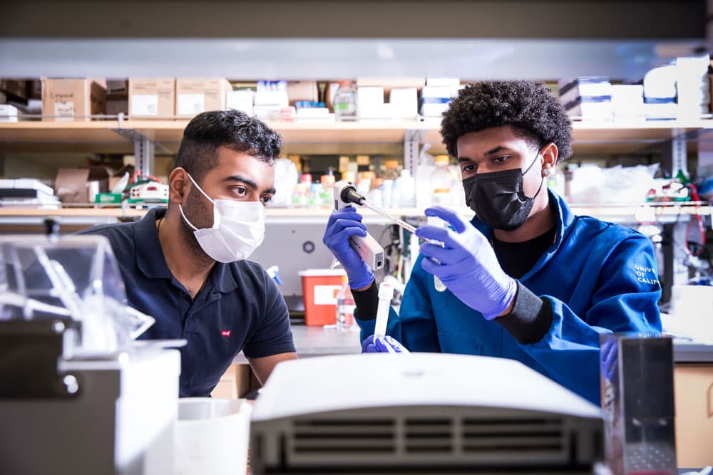 UCSF’s CURE Internship Program Jumps Back to True Self | UC San Francisco