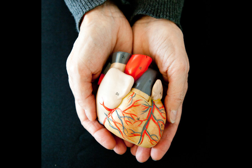 School of Medicine Art Display Focuses on Power of Healing Hands | UC ...