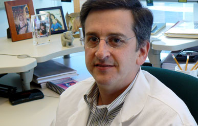 Heart of Hearts: A Conversation with Pediatric Cardiologist Harold ...