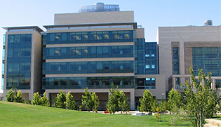 Synthetic Biology: Divining and Designing New Biological "Components ...