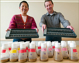 Sleeping Really Strange Hours? Maybe a Rogue Gene is to Blame | UC San ...