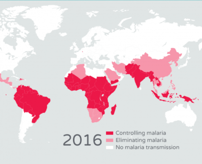 Global Push to Eradicate Malaria Boosted by $29M Grant to Malaria ...